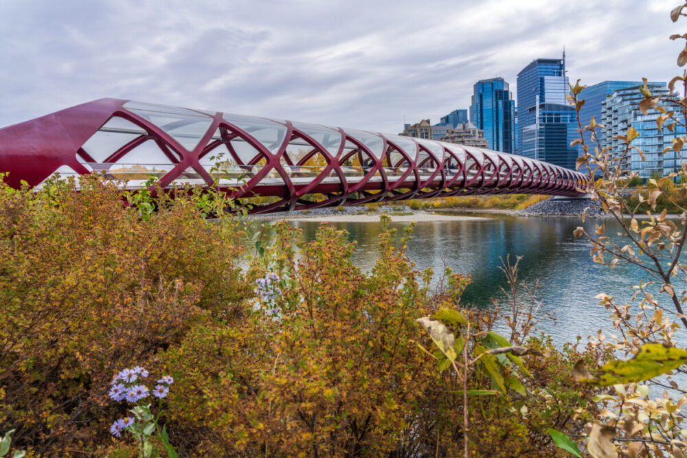 Discover Calgary: A Full Day Itinerary | Wander With Wonder